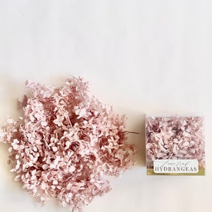 High Quality - Box of Loose Leaf Preserved Hydrangeas | Dried Flower ...