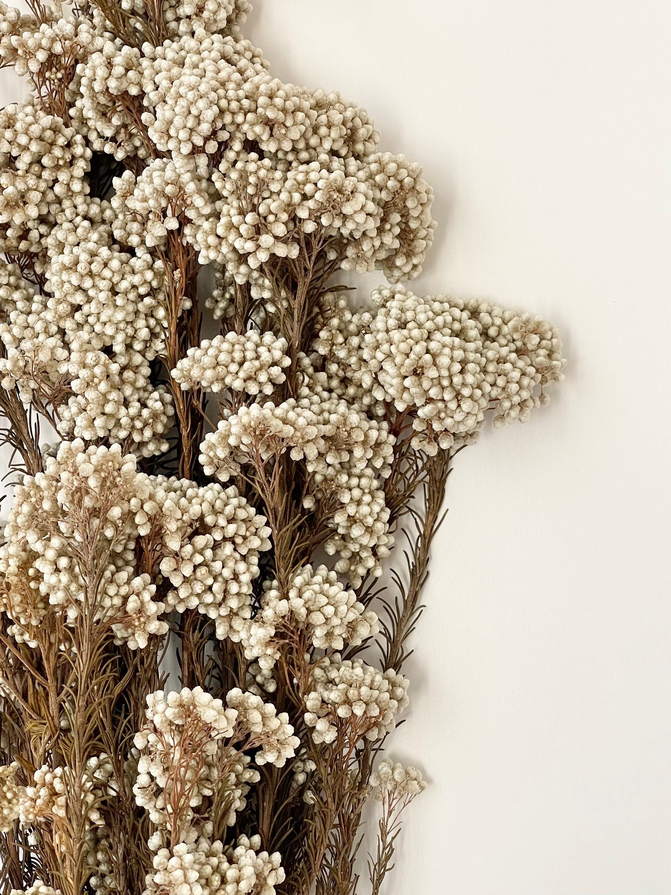 Bunch of Preserved Rice Flower Plant Dried Floral Design | Etsy