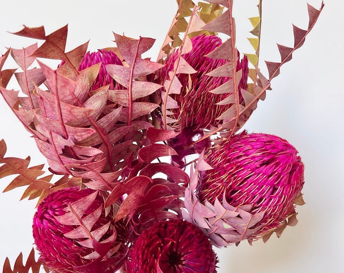 Dried Preserved Natural Australian Banksia Baxteri Plant - Etsy