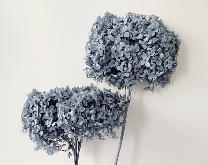 Dried Preserved Hydrangeas - Stemmed Head - High Quality | Dried Flower ...