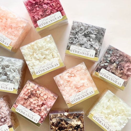 High Quality Box of Loose Leaf Preserved Hydrangeas Dried | Etsy