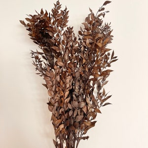 Preserved ITALIAN RUSCUS Fucus Leaves Dark Chocolate Floral Design ...