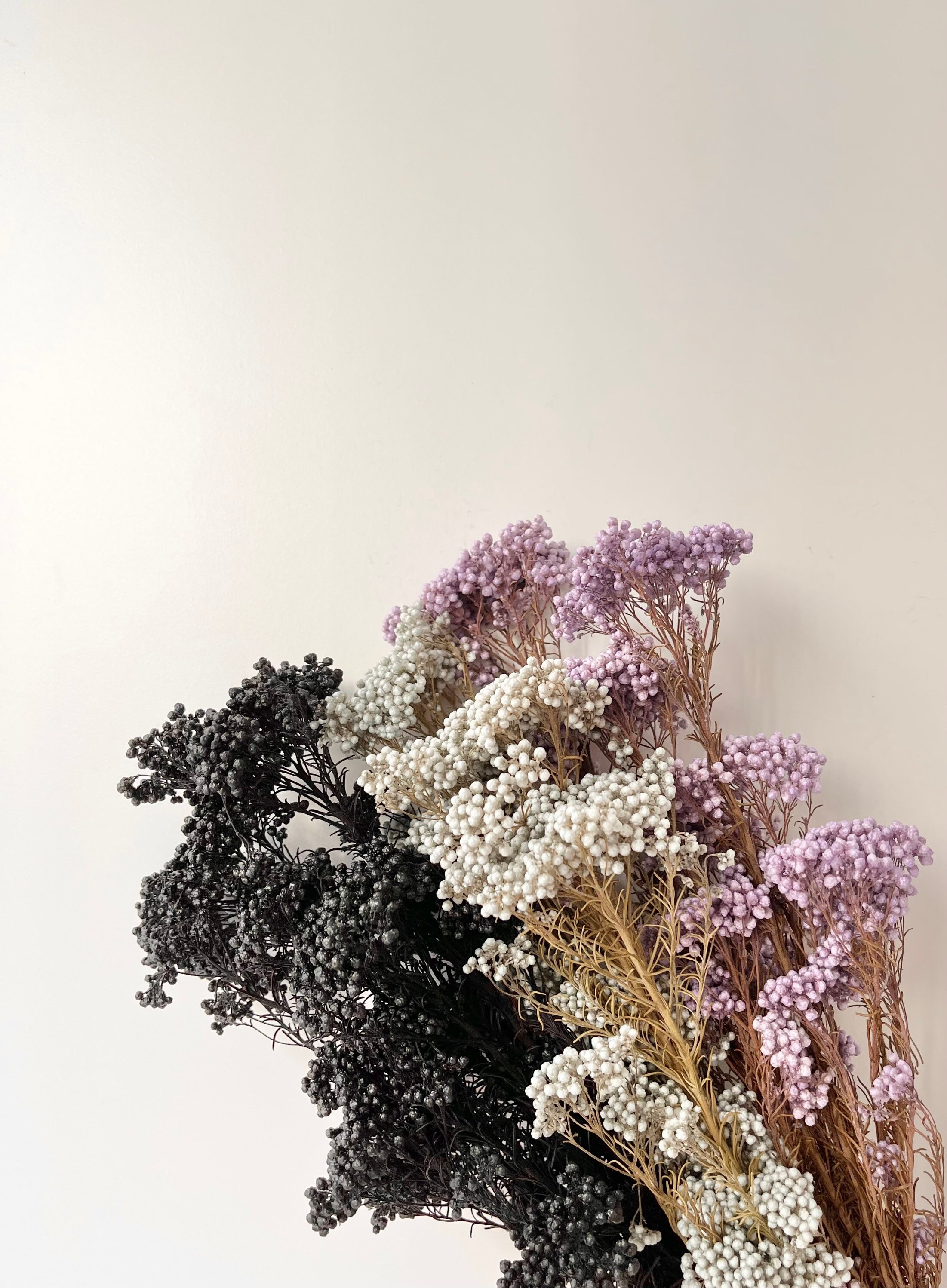 Bunch of Preserved Rice Flower Plant Dried Floral Design - Etsy