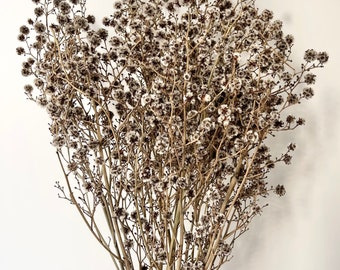 Preserved Dried Bunch of Native Tea Tree Natural Arrangement DIY Dried ...