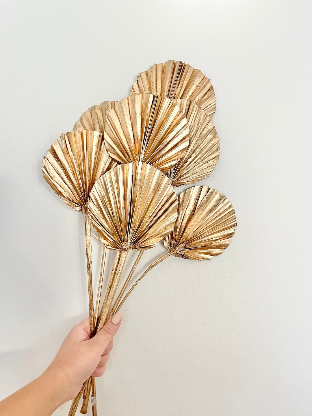 Dried Preserved GOLD Palm Cat Paw Fan | Flower Floral Design | Boho ...