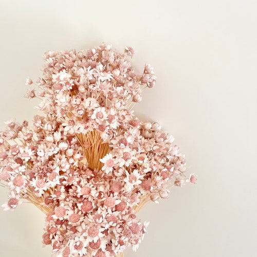 Preserved Dried Bunch of Native Tea Tree Natural Arrangement - Etsy