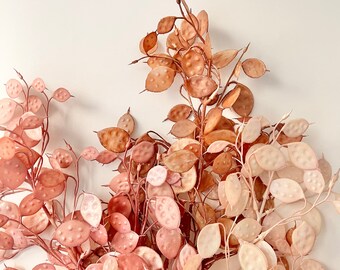 Honesty Plant | Etsy