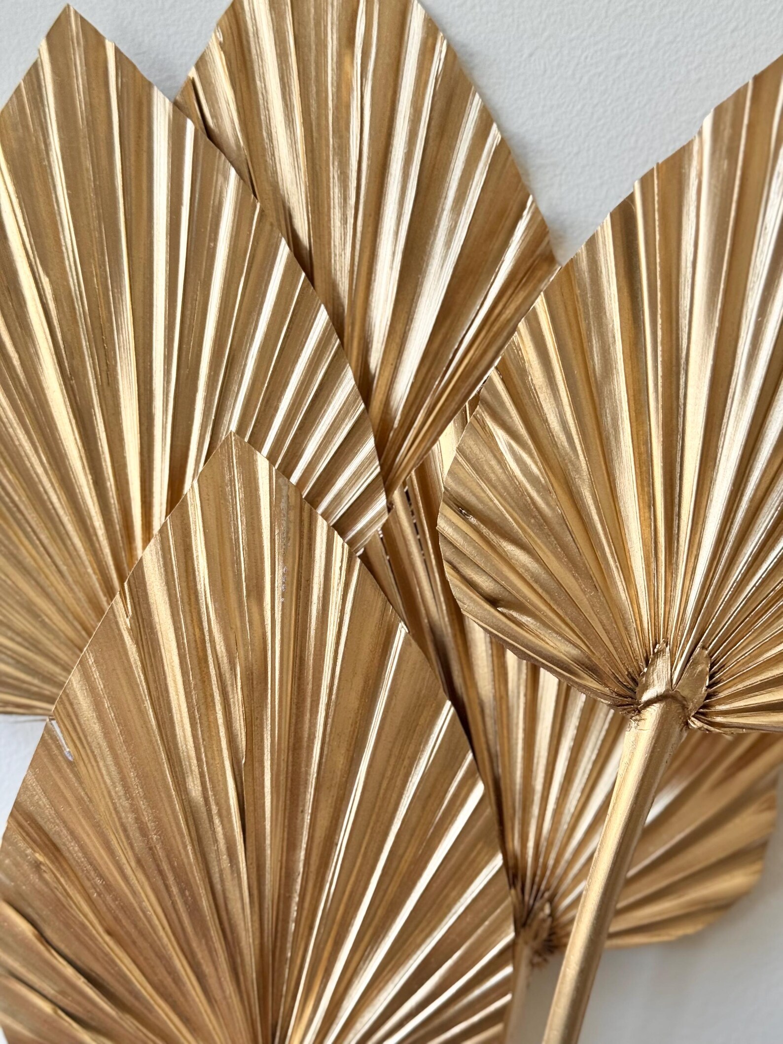 NEW - Dried Preserved Palm Spear | Dried Flower Floral Design | Boho ...