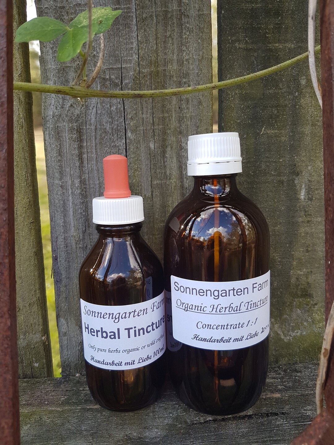 Bugleweed by Hans the Herbalist//practitioner Grade//tincture ...