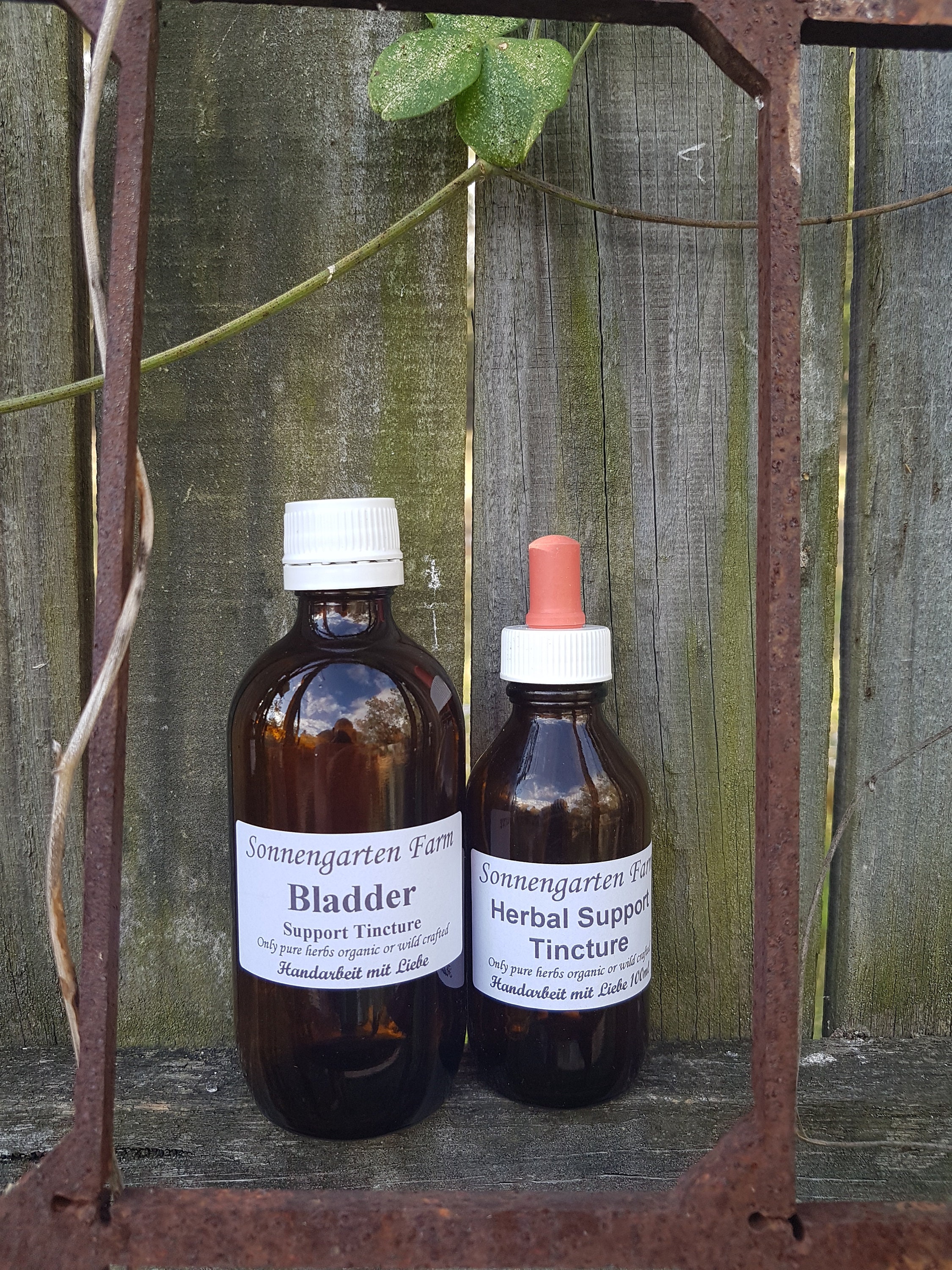 Bladder Support Formula by Hans the Herbalist//practitioner Grade ...