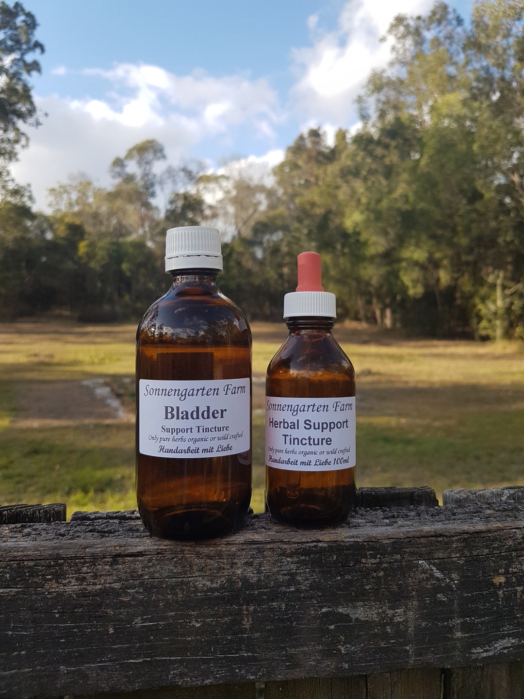 Bladder Support Formula by Hans the Herbalist//practitioner Grade ...