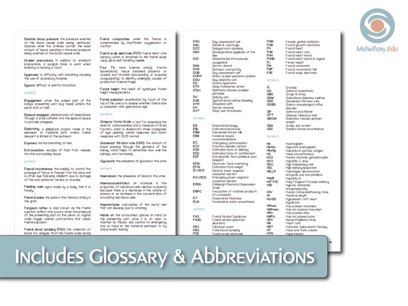 Anatomy & Physiology for Midwives Study Guide - Etsy