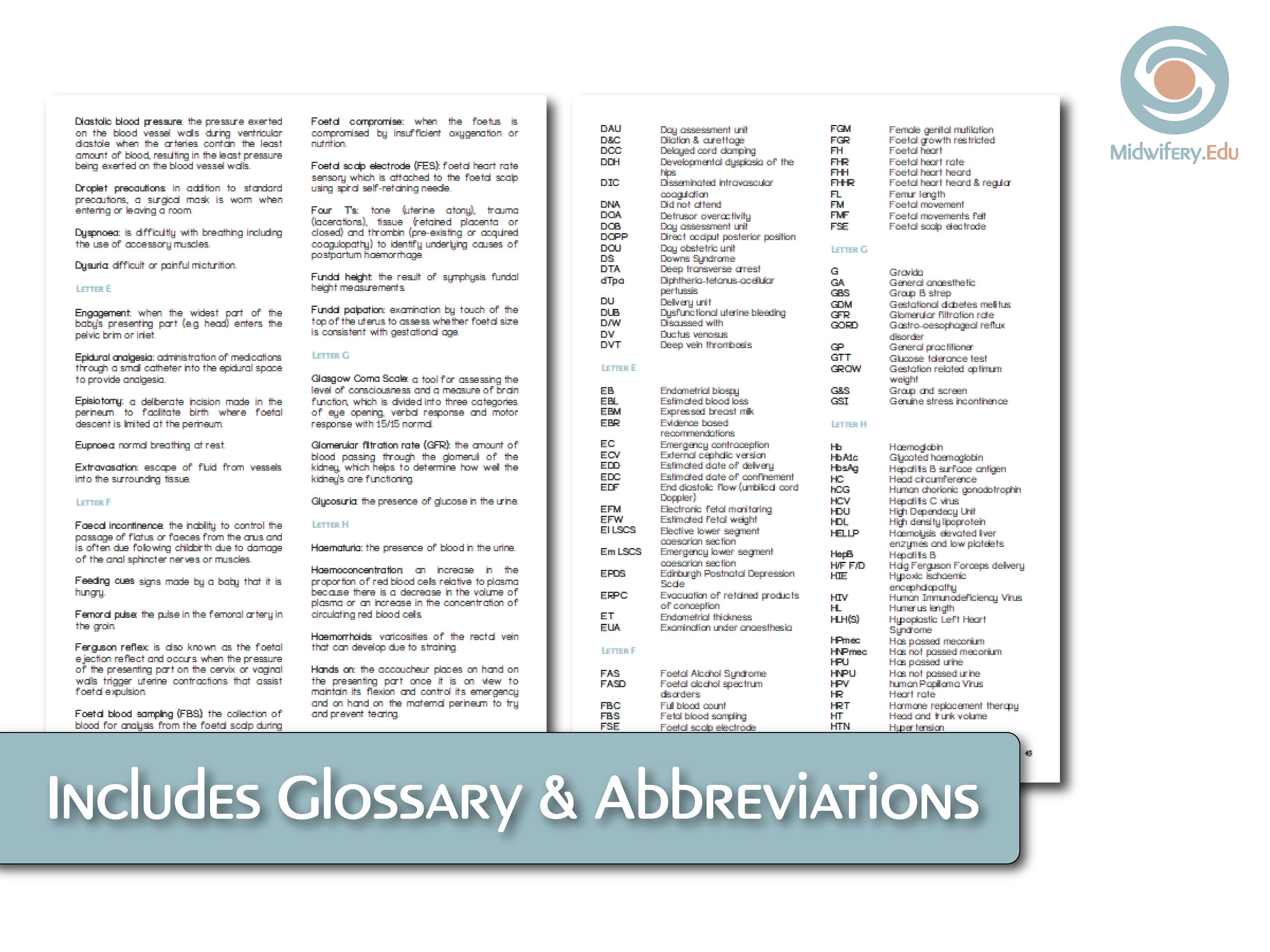 Anatomy & Physiology for Midwives Study Guide - Etsy