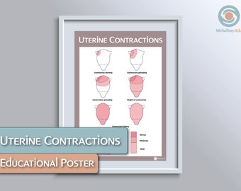 Contractions Poster - Etsy