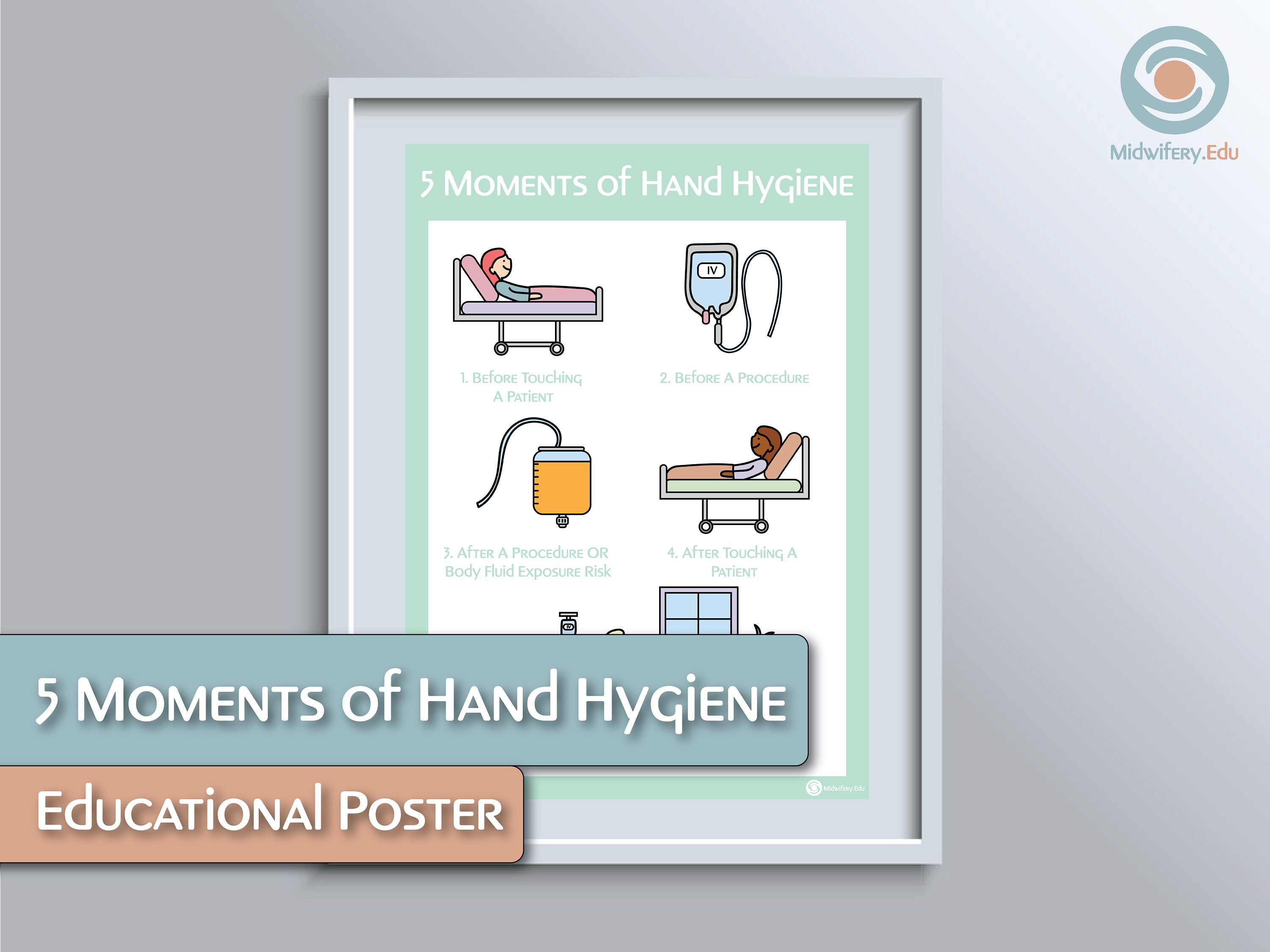 5 Moments of Hand Hygiene Educational Poster - Etsy