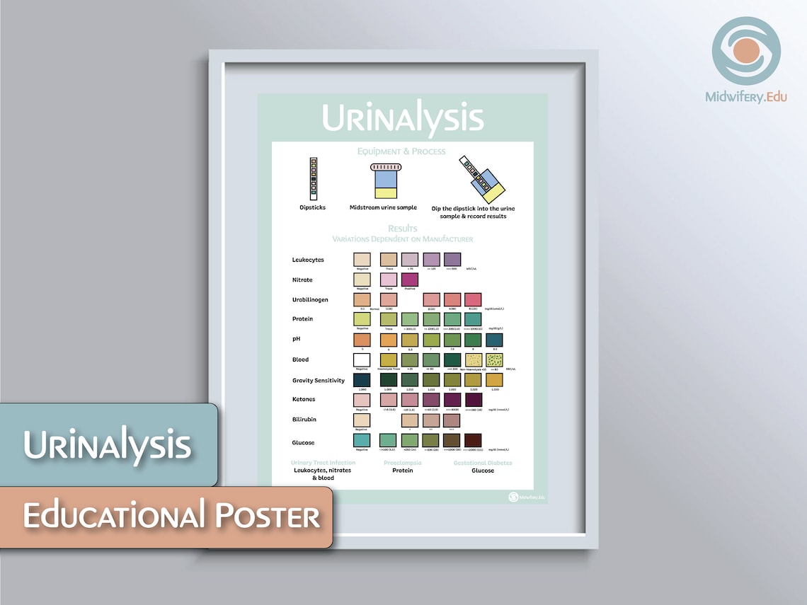 Urinalysis Educational Poster - Etsy