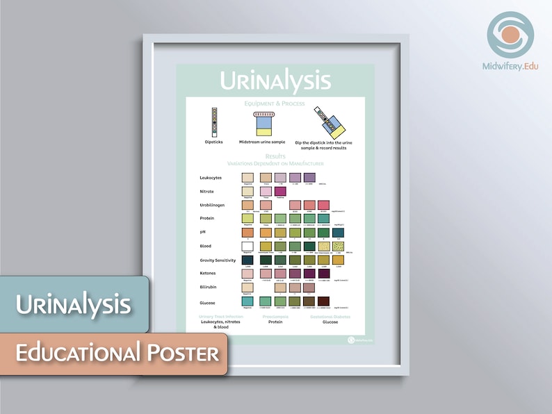 Urinalysis Educational Poster - Etsy