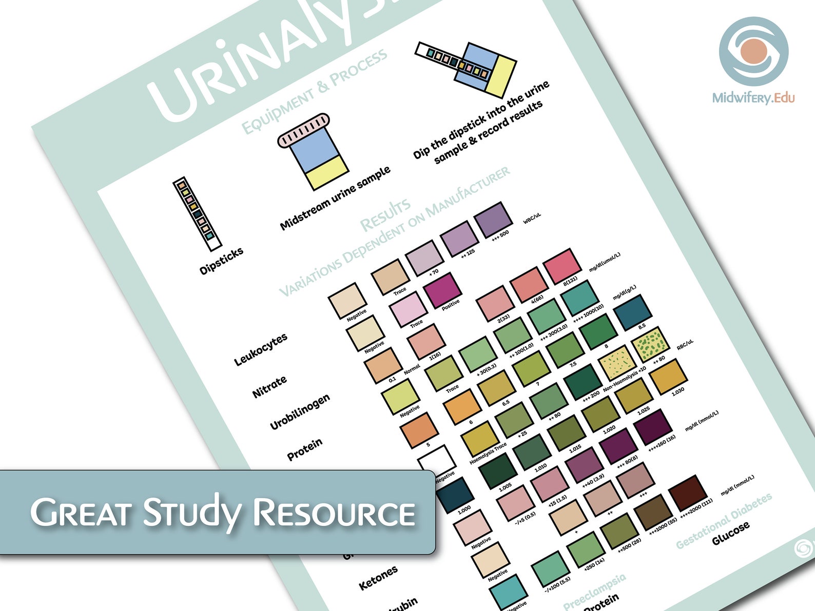 Urinalysis Educational Poster - Etsy