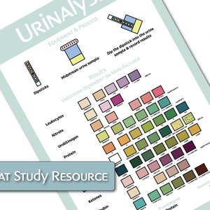 Urinalysis Educational Poster Etsy