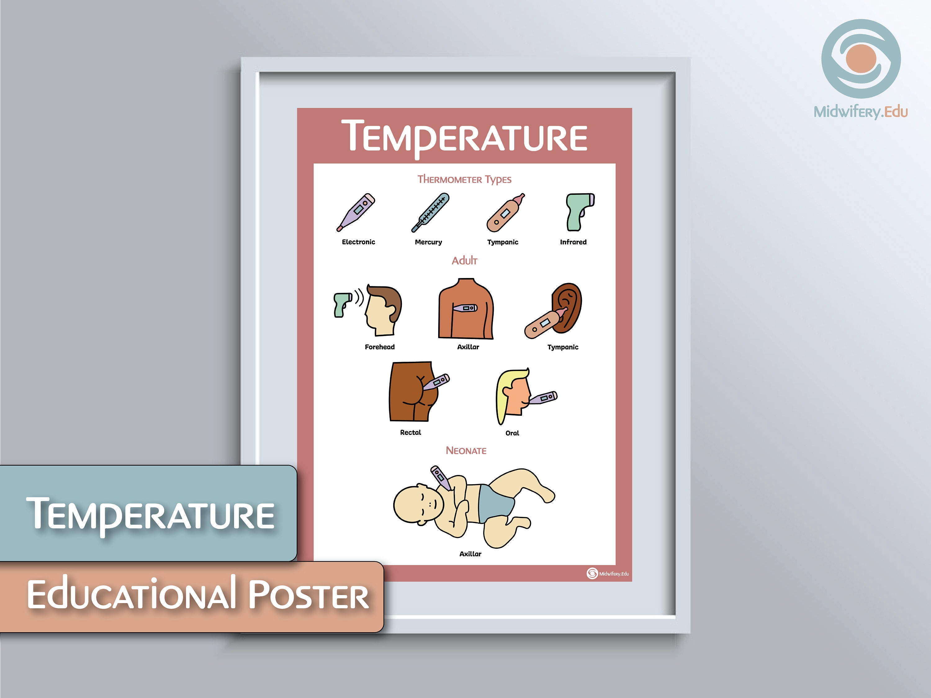 Temperature Educational Poster - Etsy