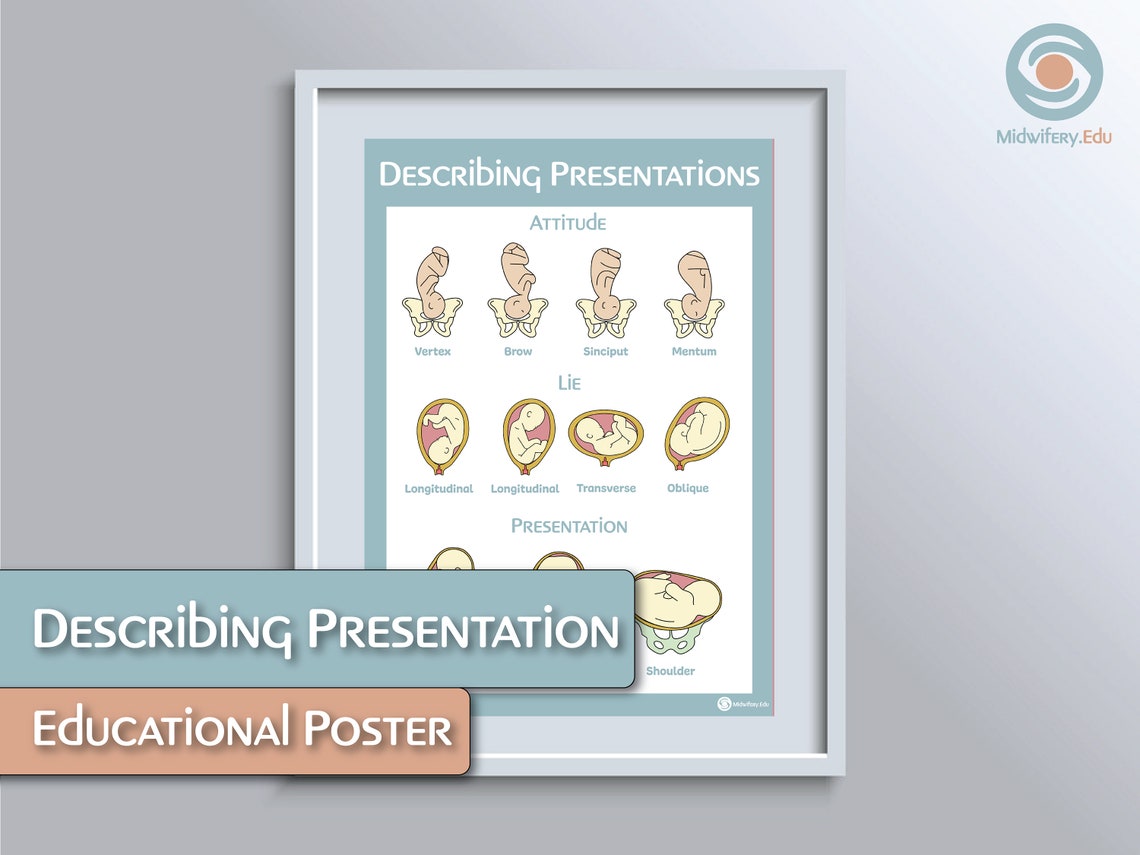Describing Position Educational Position | Etsy