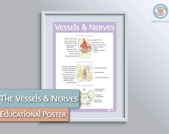 Labour/labor Education Poster Bundle - Etsy