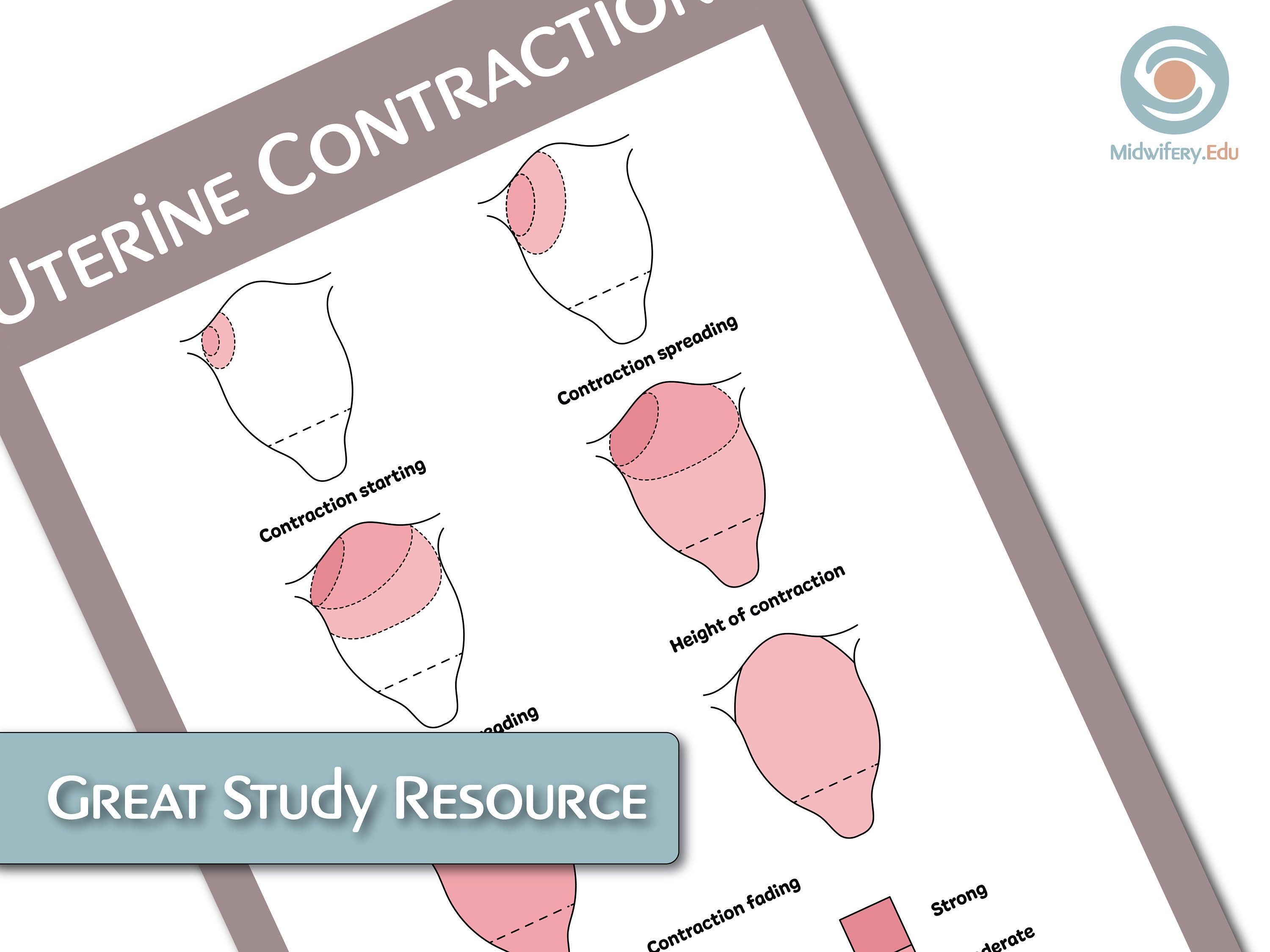 Uterine Contractions Educational Poster Etsy Uterine Contractions Educational Poster Etsy