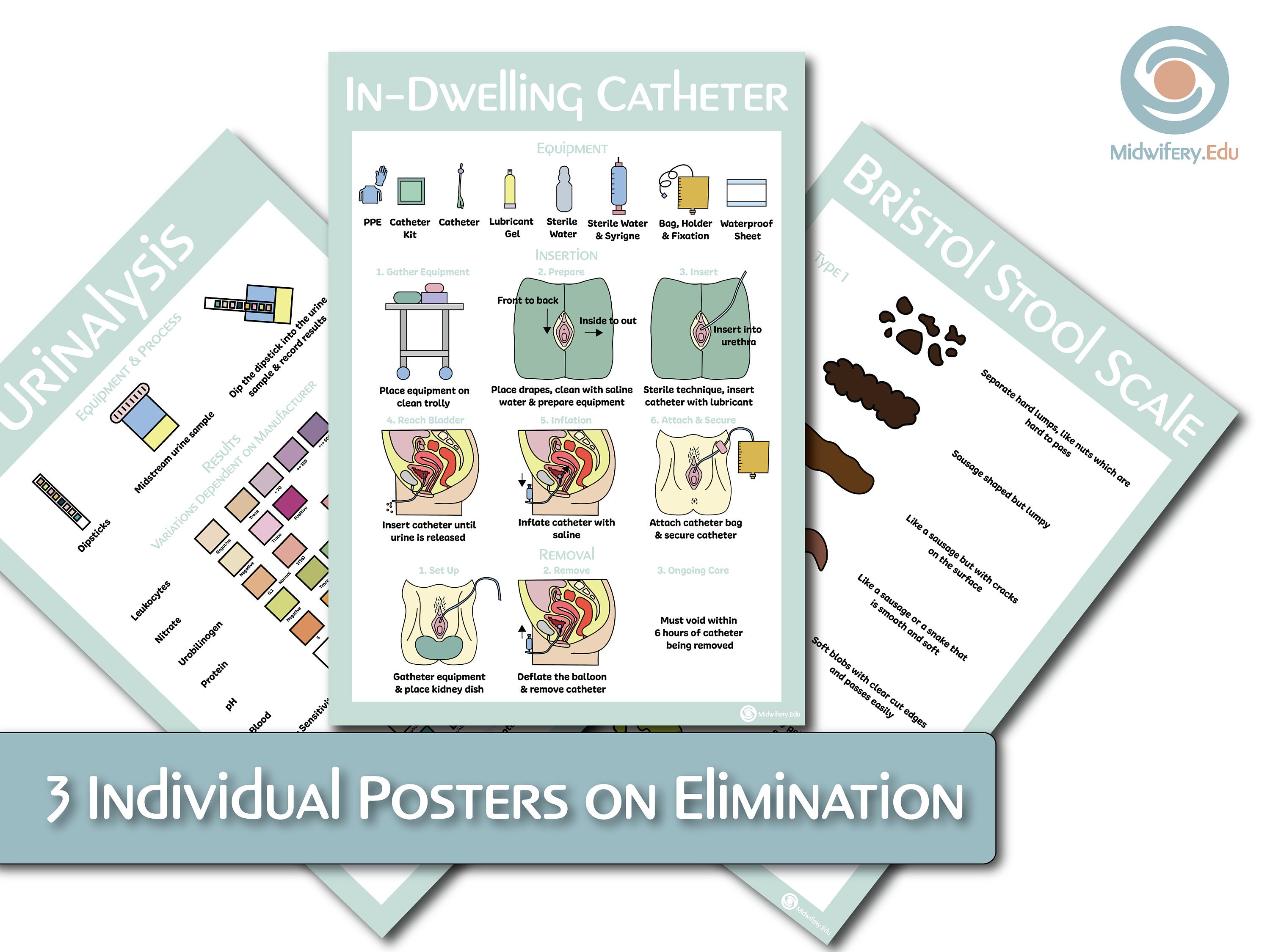 All the Midwifery.edu Poster Bundle Pack - Etsy