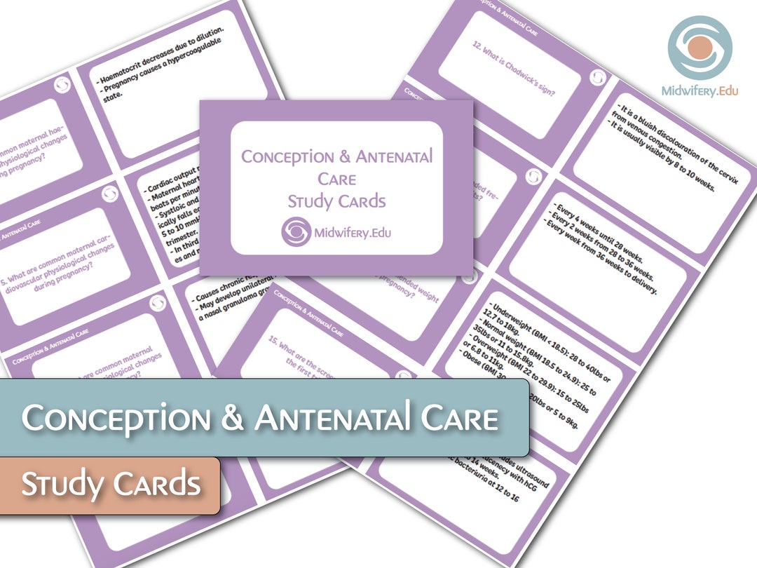 Conception & Antenatal Care Study Cards - Etsy UK