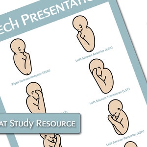 Foetal/fetal Position Study Bundle Educational Poster - Etsy