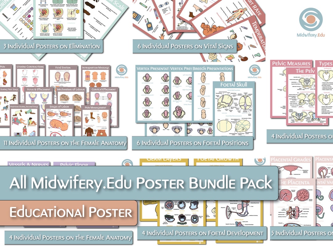 All the Midwifery.edu Poster Bundle Pack - Etsy