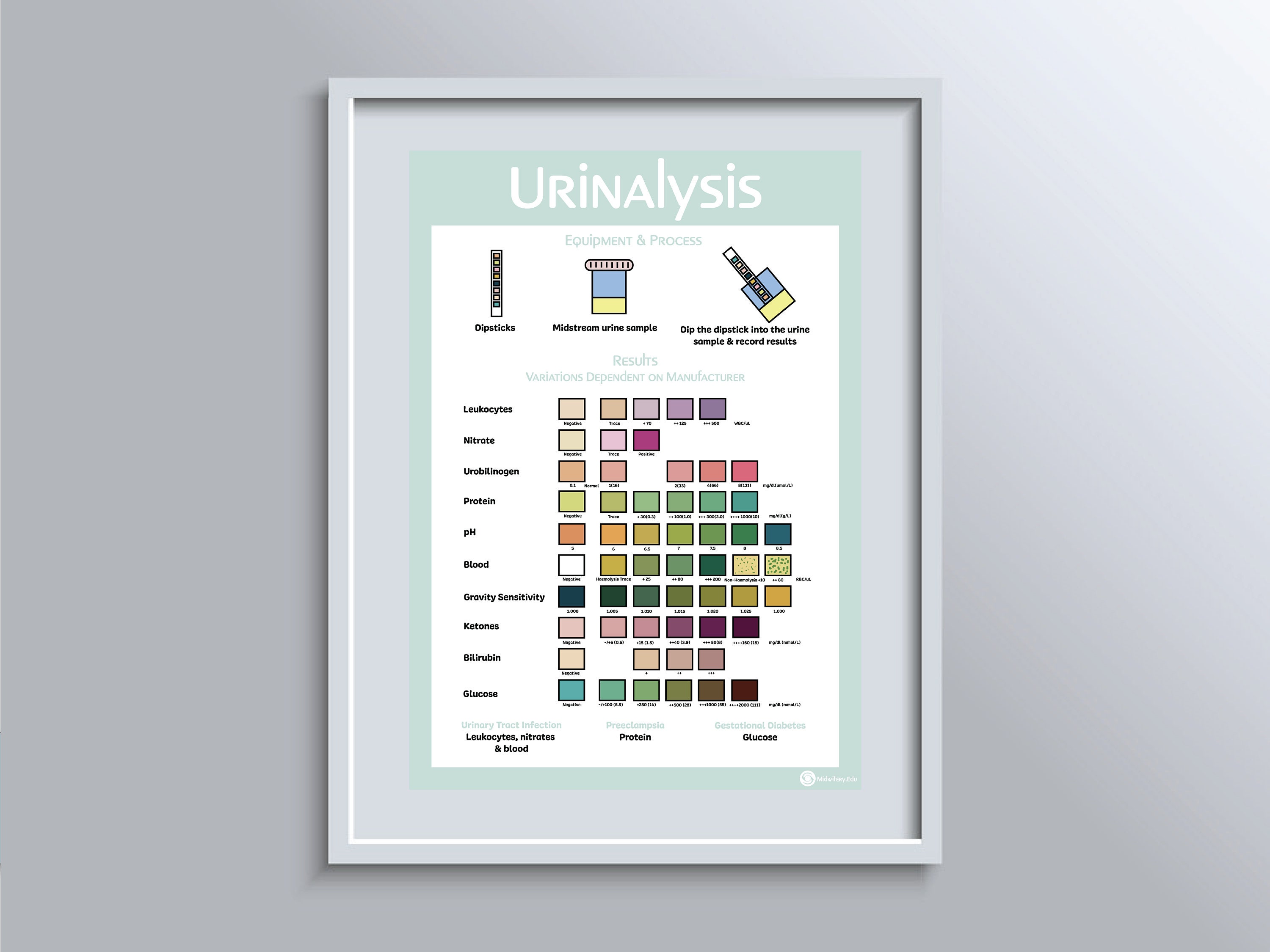 Urinalysis Educational Poster - Etsy
