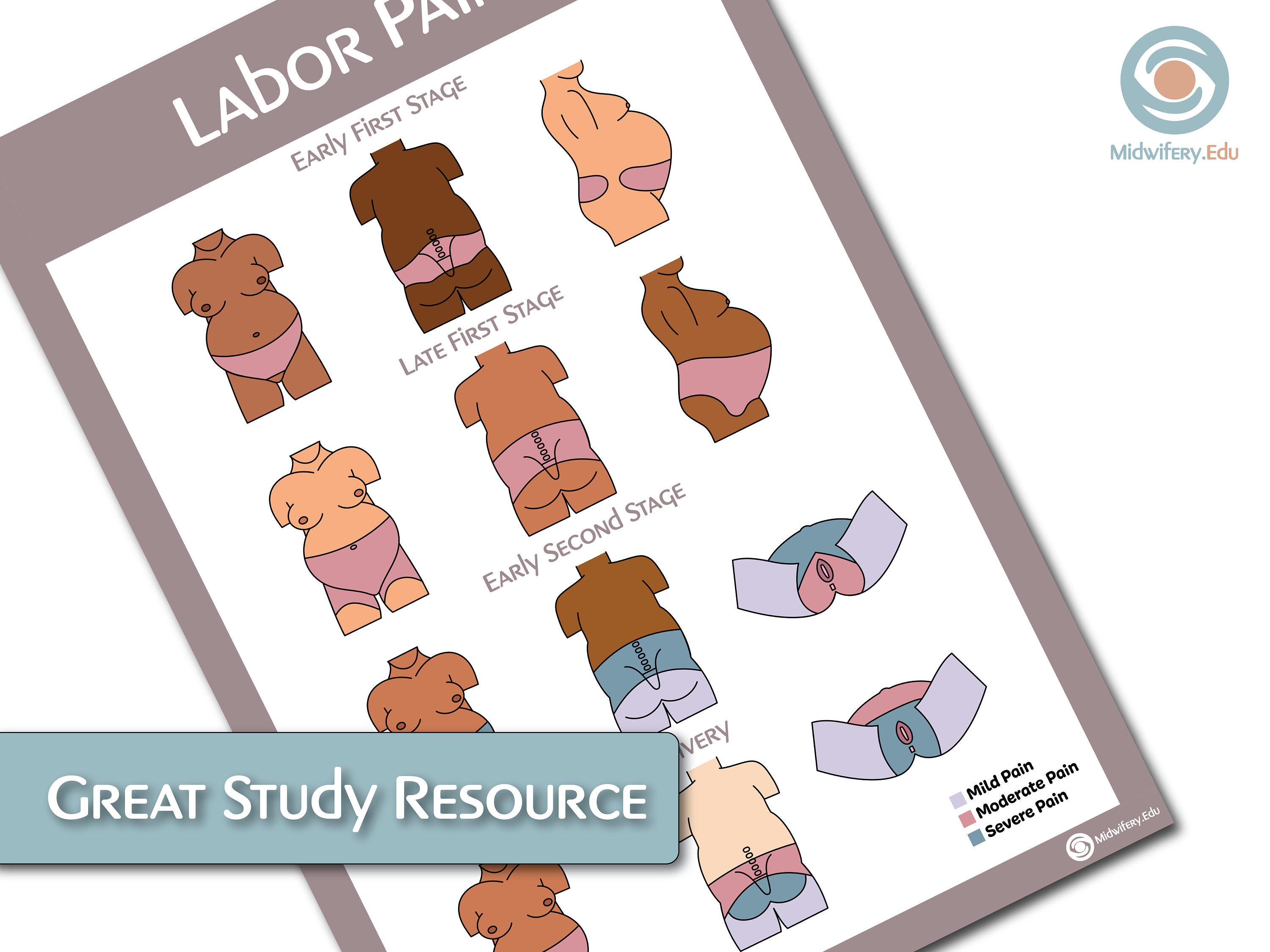 Labour/Labor Education Poster Bundle | Etsy