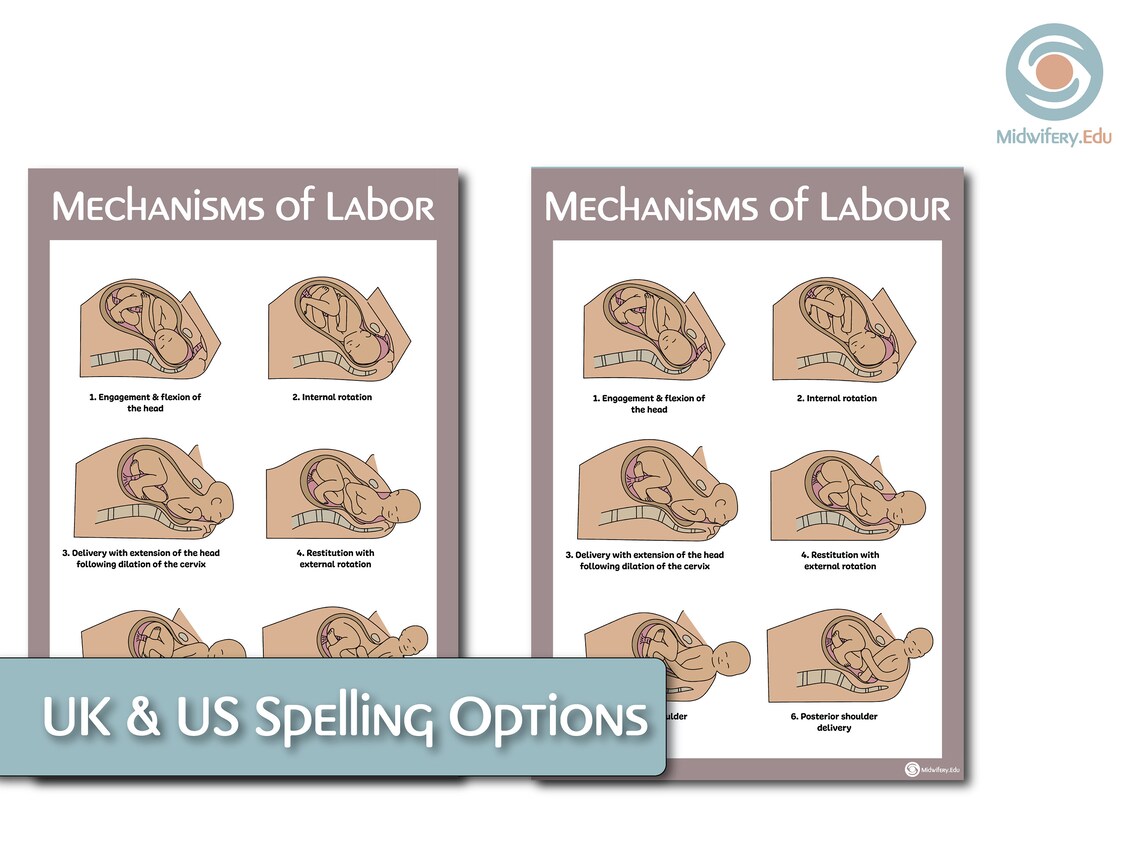 Labour/labor Education Poster Bundle - Etsy