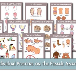 Labour/labor Education Poster Bundle - Etsy