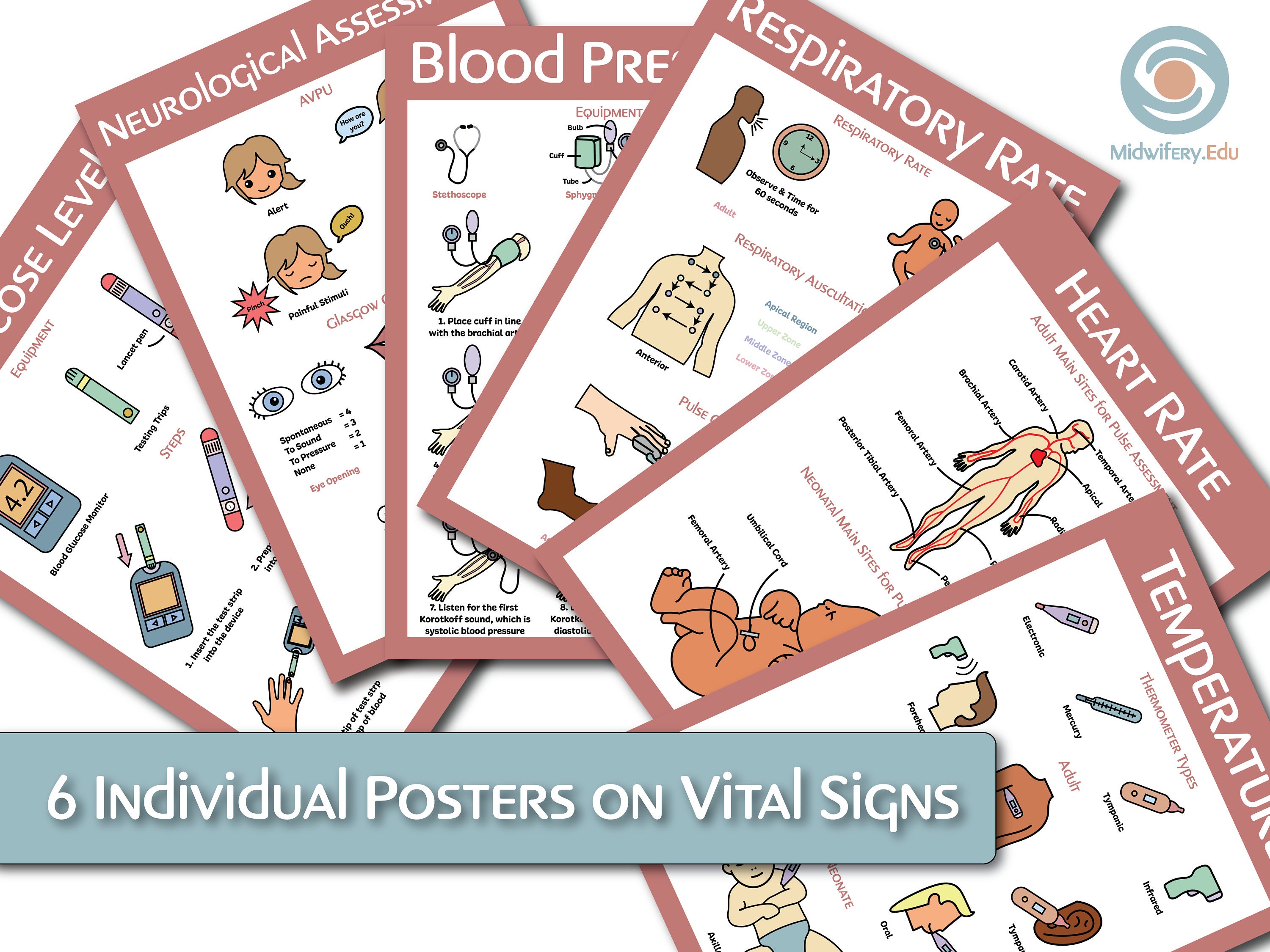 Vital Signs Series Educational Posters - Etsy