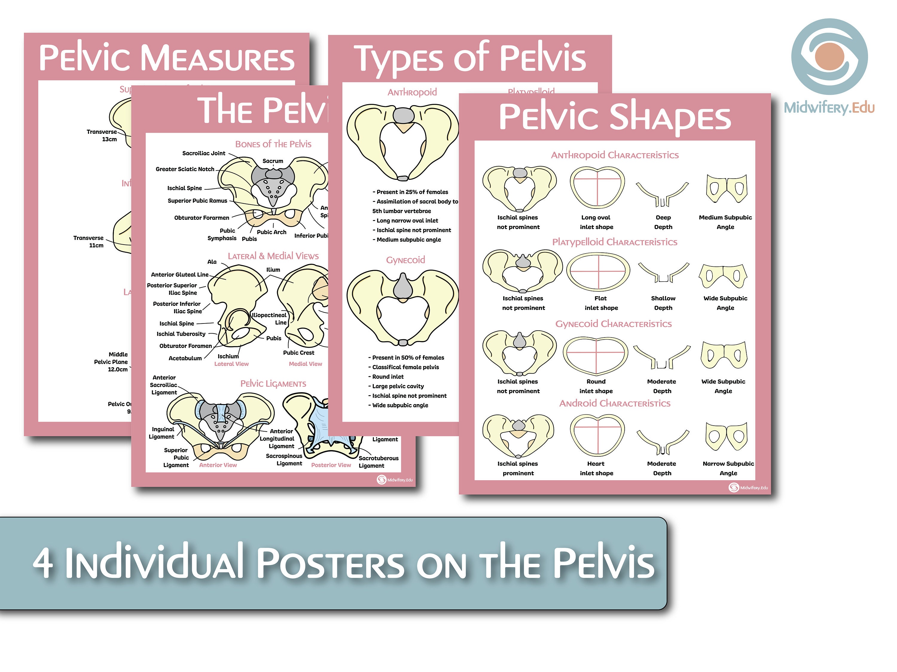 All the Midwifery.edu Poster Bundle Pack - Etsy