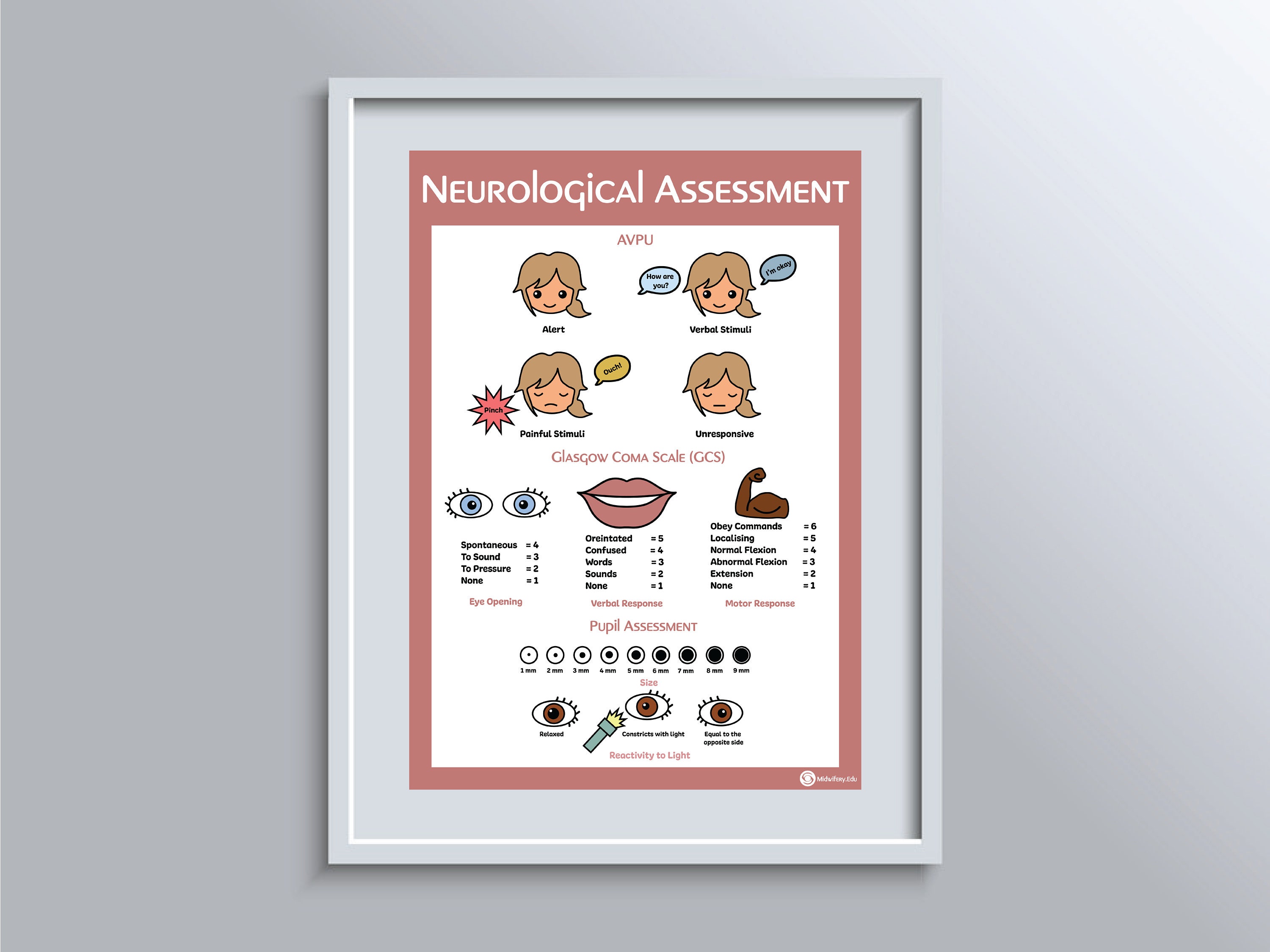 Neurological Assessment Educational Poster - Etsy