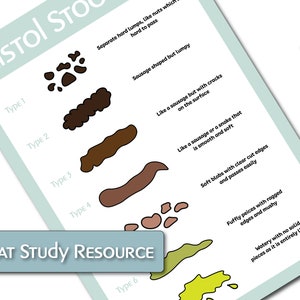 Bristol Stool Scale Educational Poster - Etsy