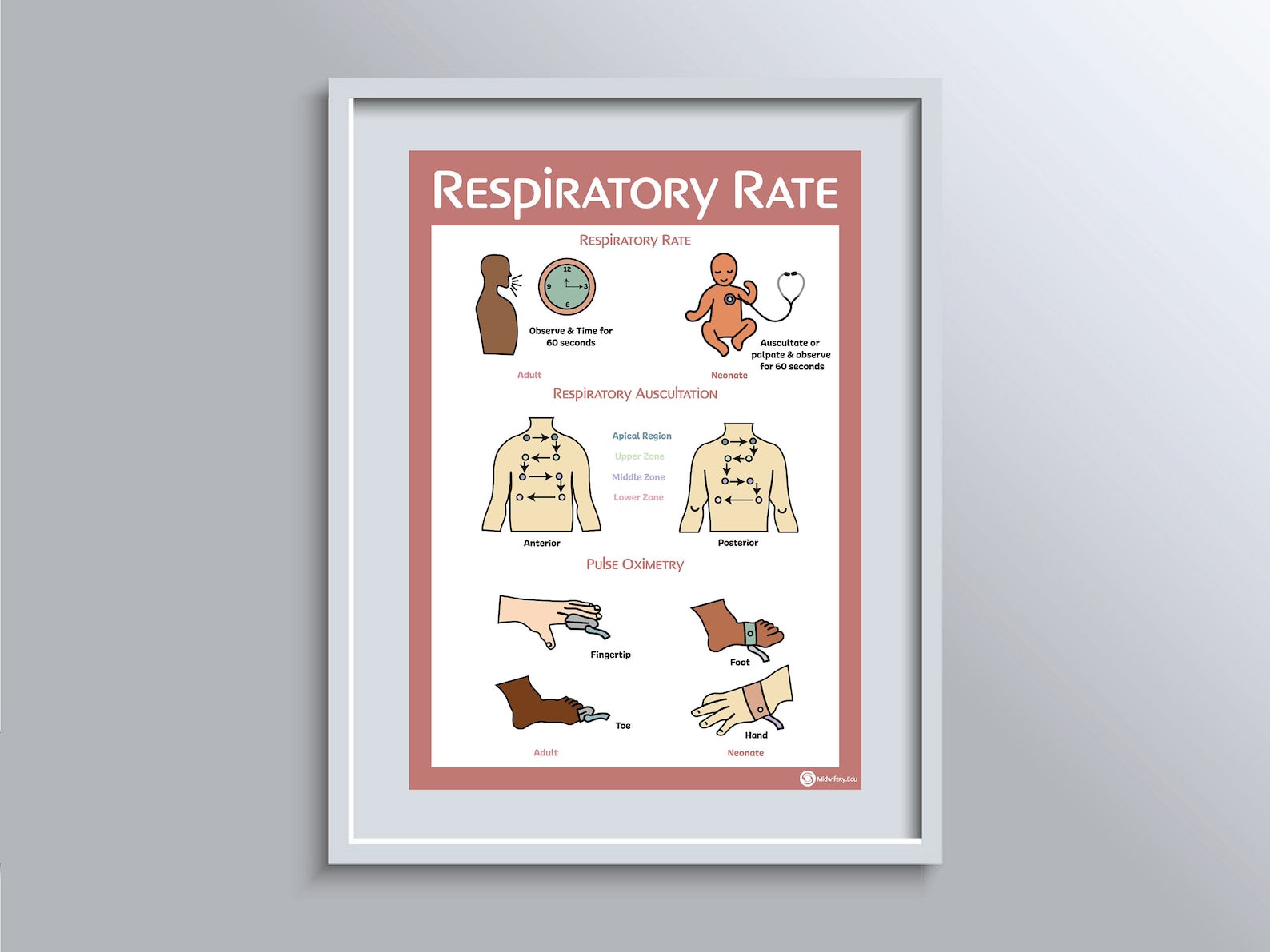 Respiratory Rate Educational Poster - Etsy