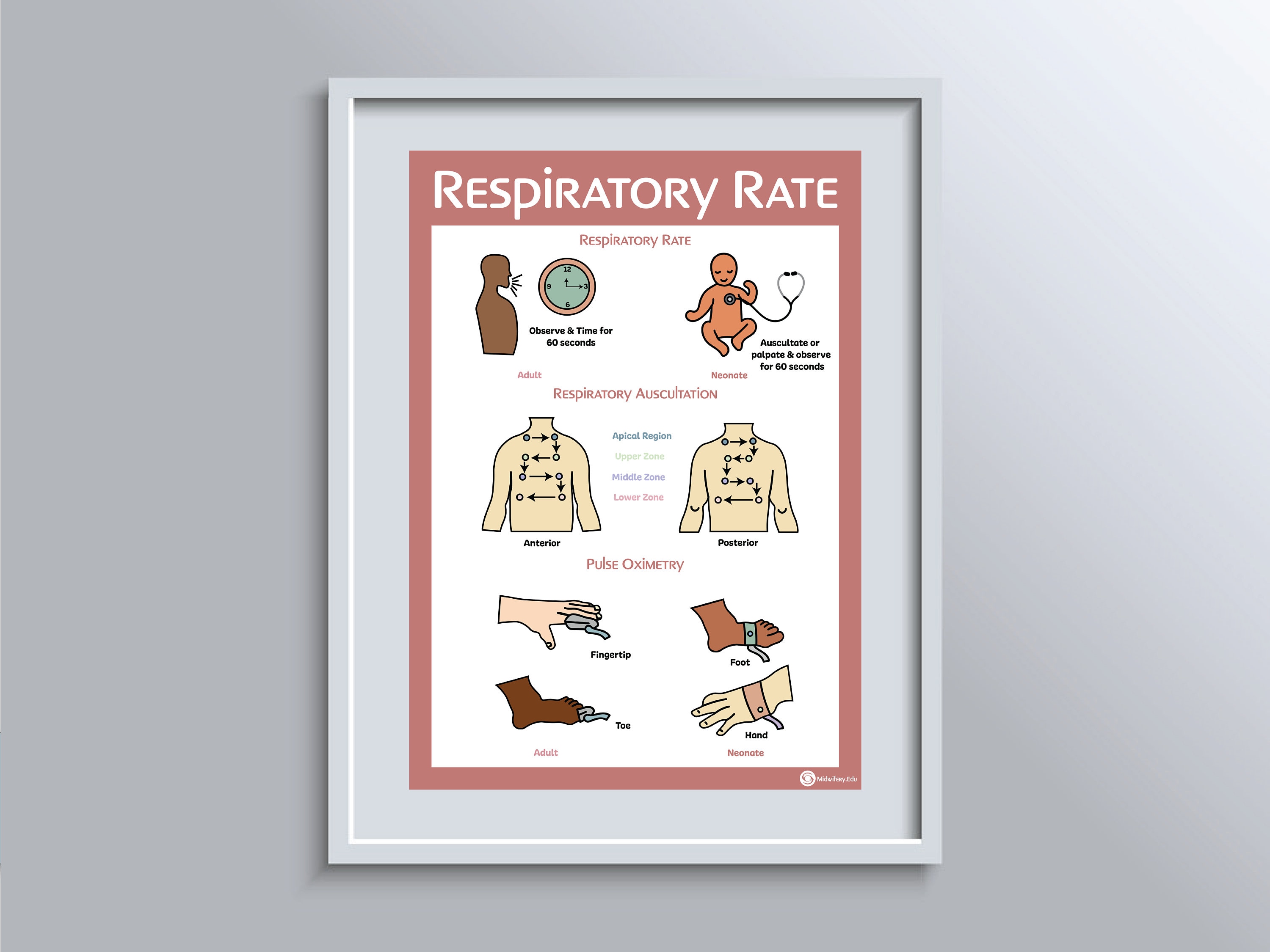 Respiratory Rate Educational Poster - Etsy