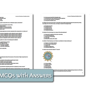Anatomy & Physiology for Midwives 100 Multiple Choice Questions (mcqs ...