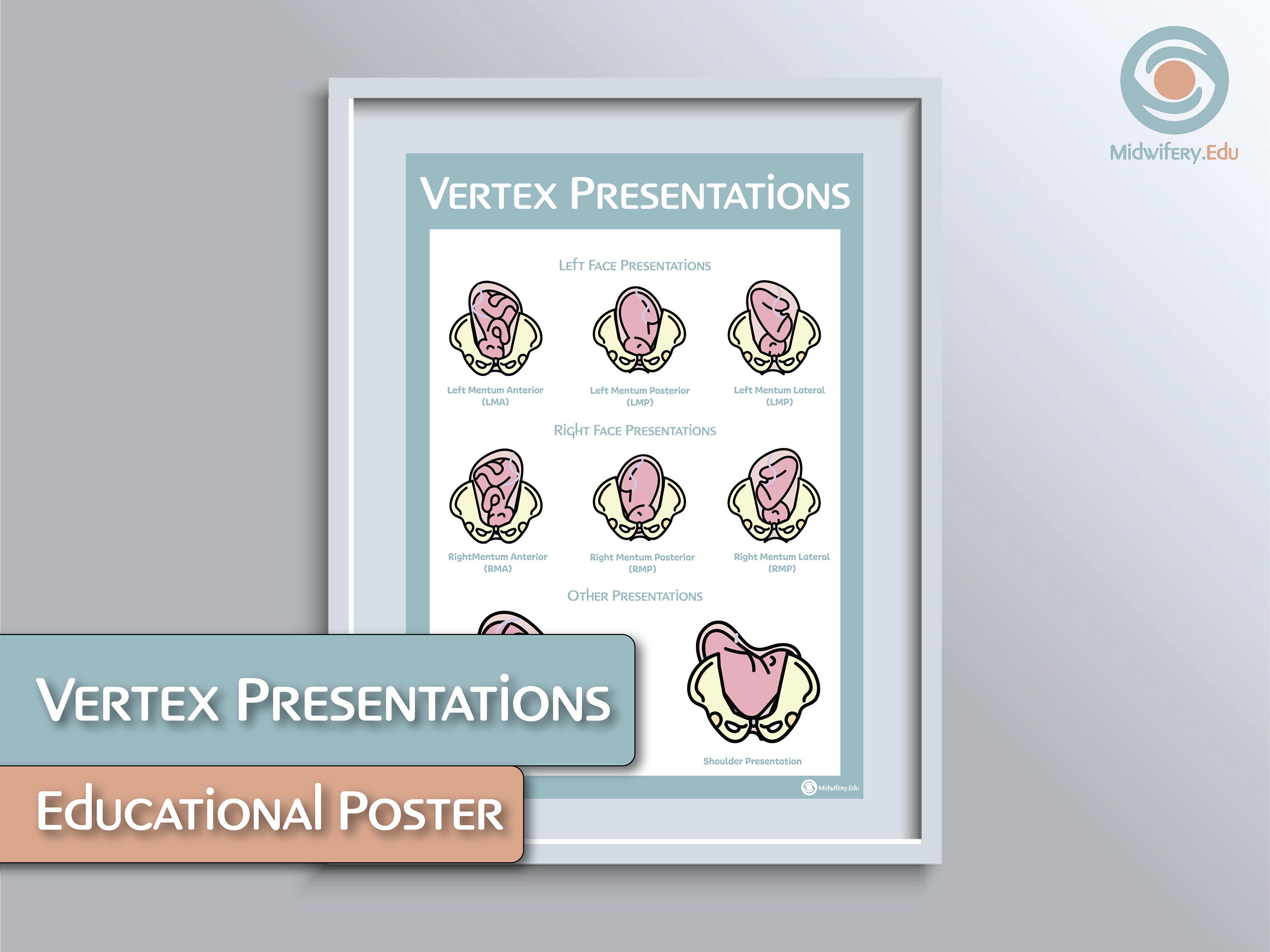 Vertex Presentation Educational Poster - Etsy