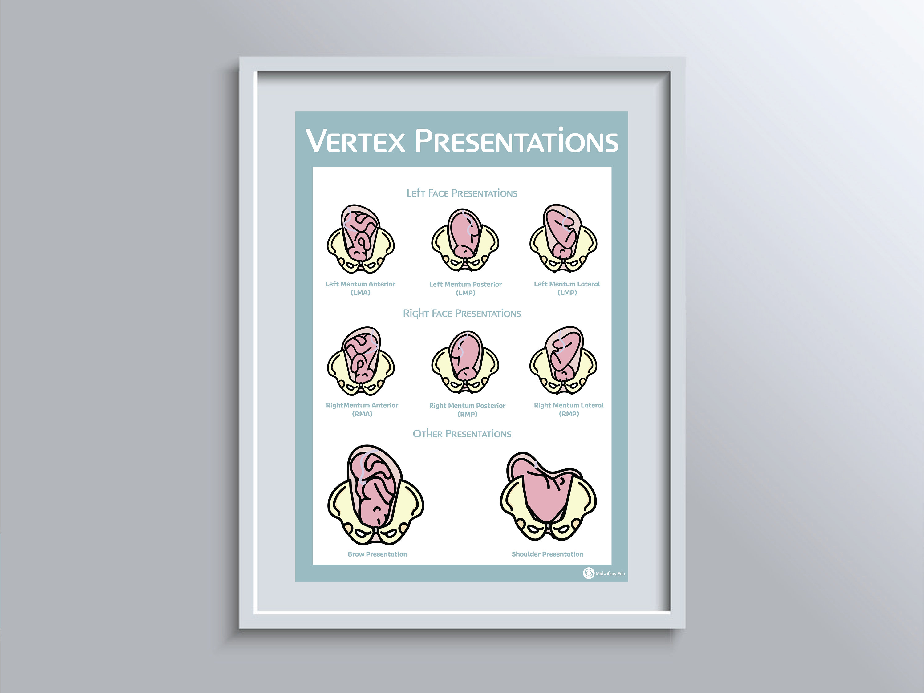 Vertex Presentation Educational Poster - Etsy