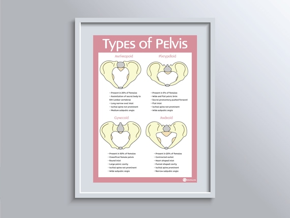 Types Of Pelvis