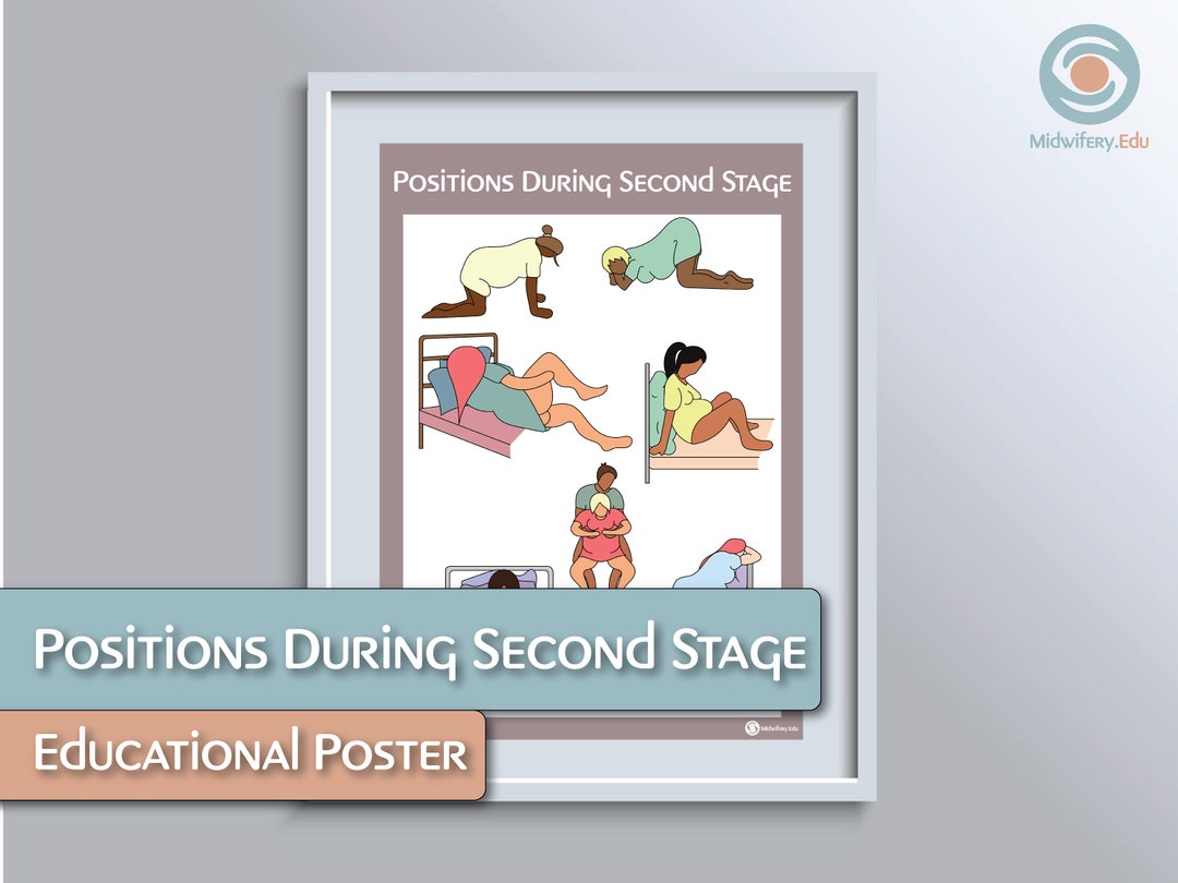 Positions During Second Stage Educational Poster - Etsy