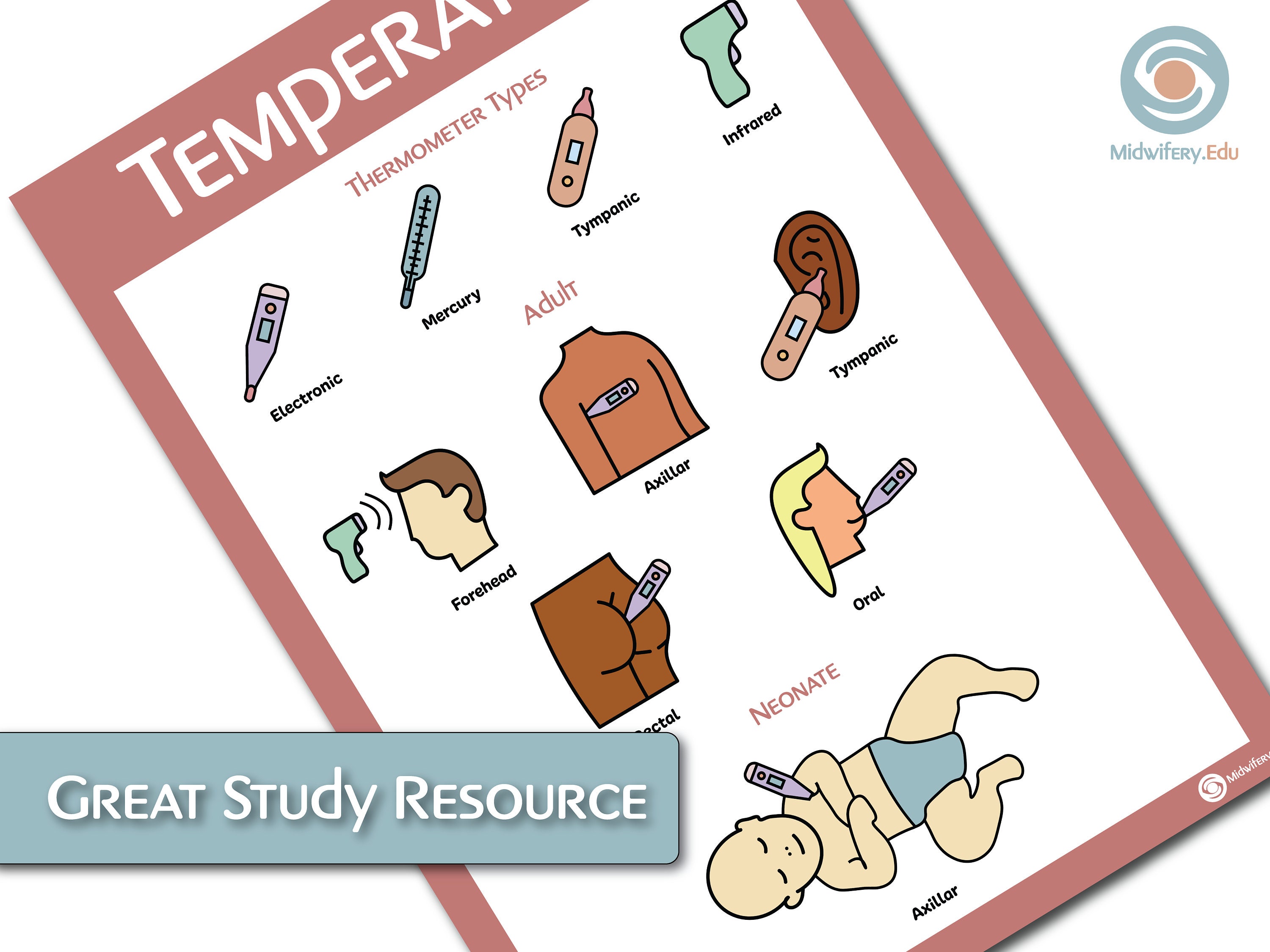 Vital Signs Series Educational Posters - Etsy