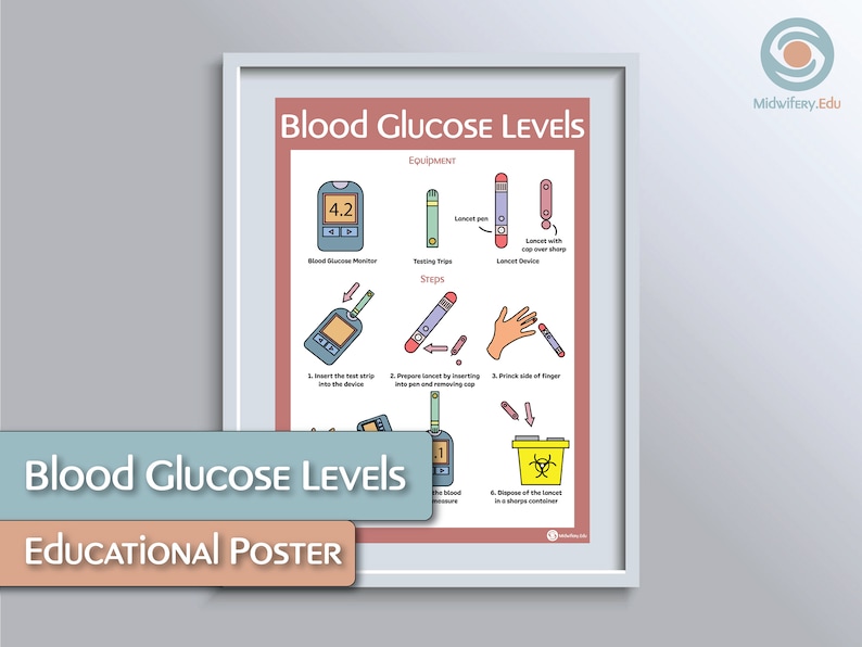 Blood Glucose Levels Educational Poster - Etsy