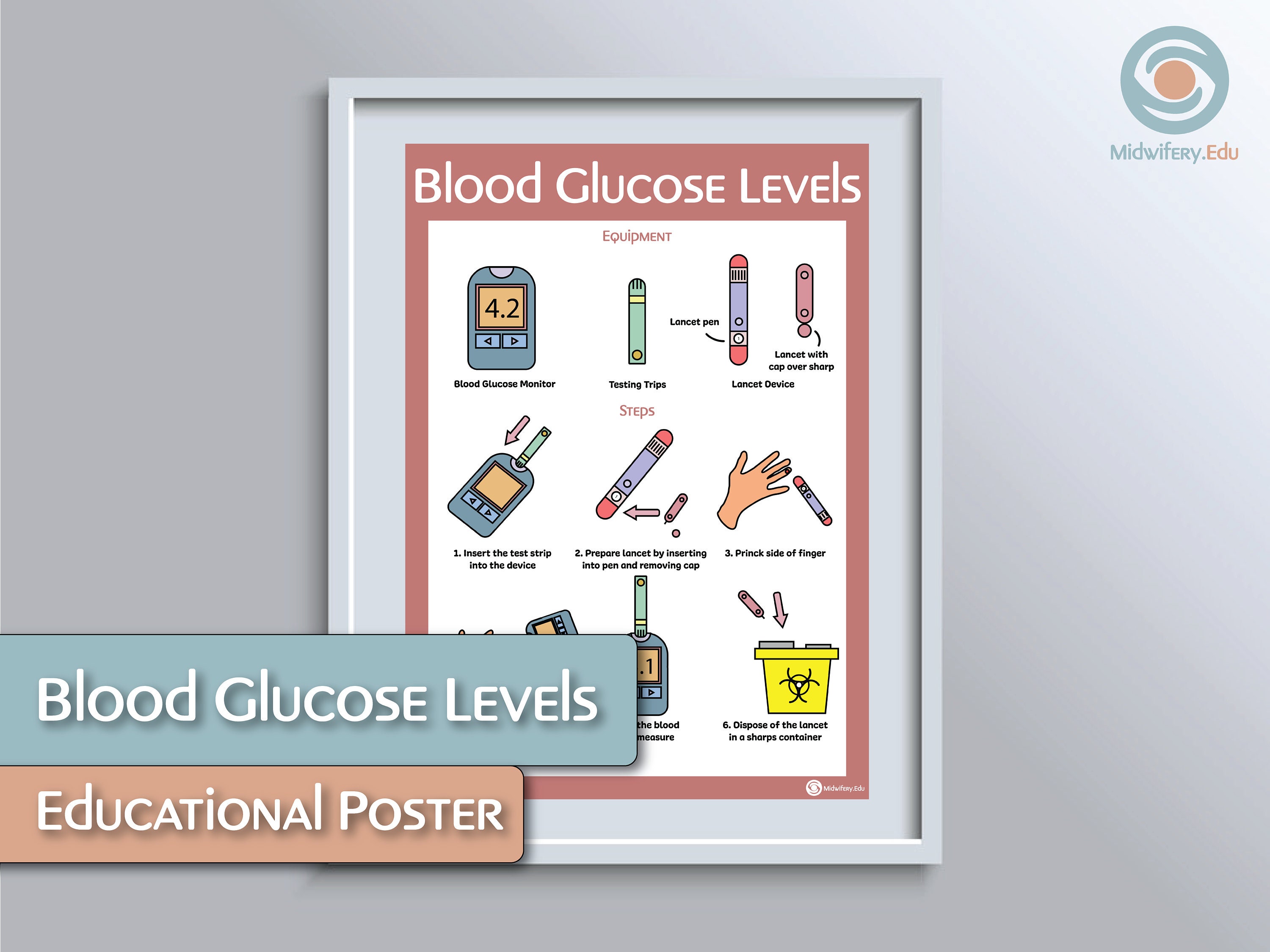 Blood Glucose Levels Educational Poster - Etsy