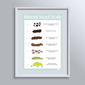 Bristol Stool Scale Educational Poster - Etsy